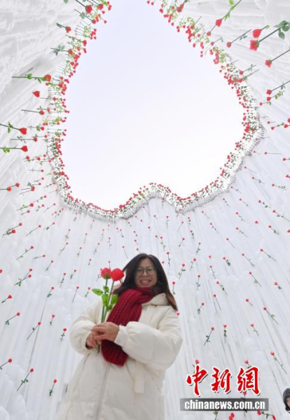 吉林长春：冰雪玫瑰相映成画引游客参观