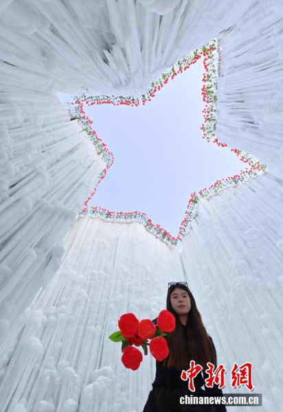 吉林长春：冰雪玫瑰相映成画引游客参观