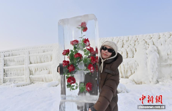 吉林长春：冰雪玫瑰相映成画引游客参观
